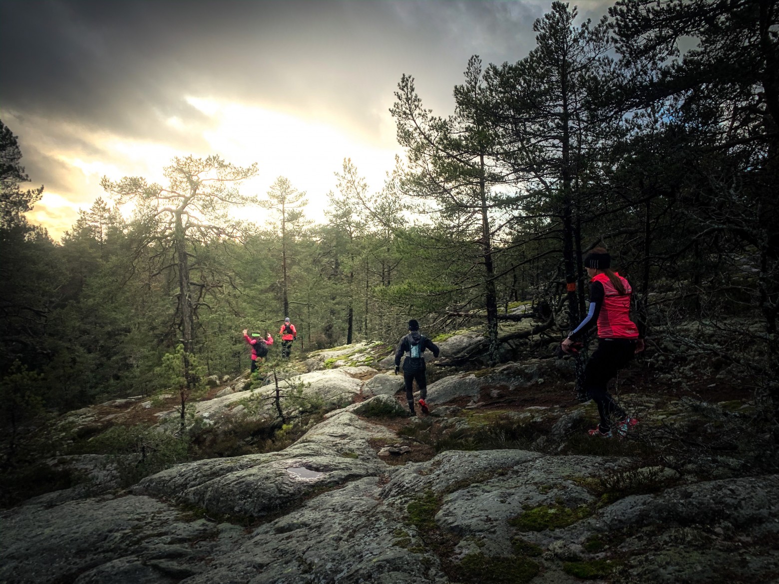 Unna dig traillöpning i höst | Marathon.se